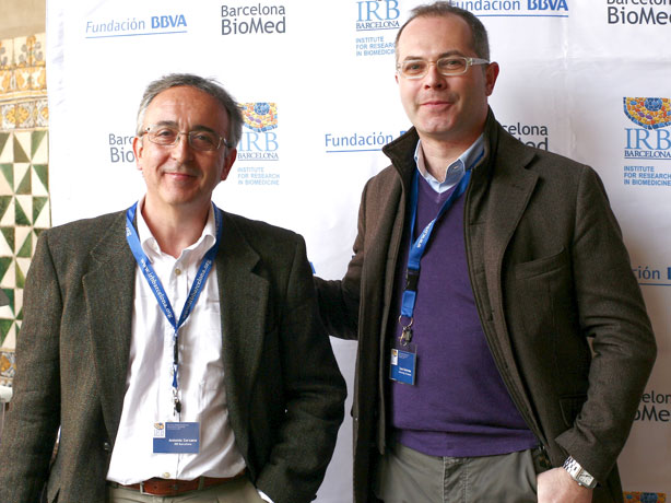 La proteína Mfn2 podría tener un papel clave en la diabetes | Diario Médico