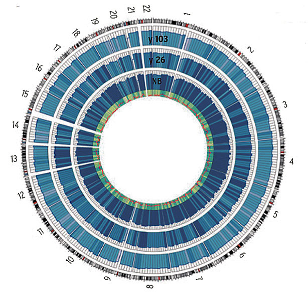 El epigenoma del centenario y del recién nacido son distintos ...