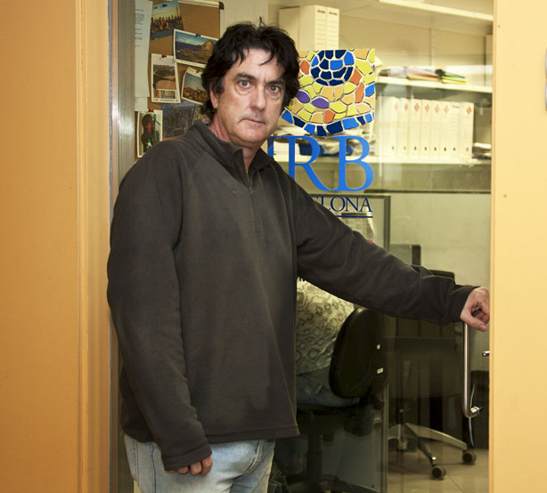 Macromoléculas presentes en el control del SNC | DiarioMedico