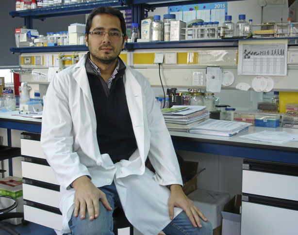 La acumulación de sal en la piel fortalece la respuesta a la infección ...