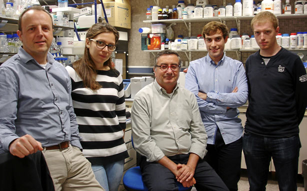 Ingredientes 'preventivos' regeneran la despensa | DiarioMedico