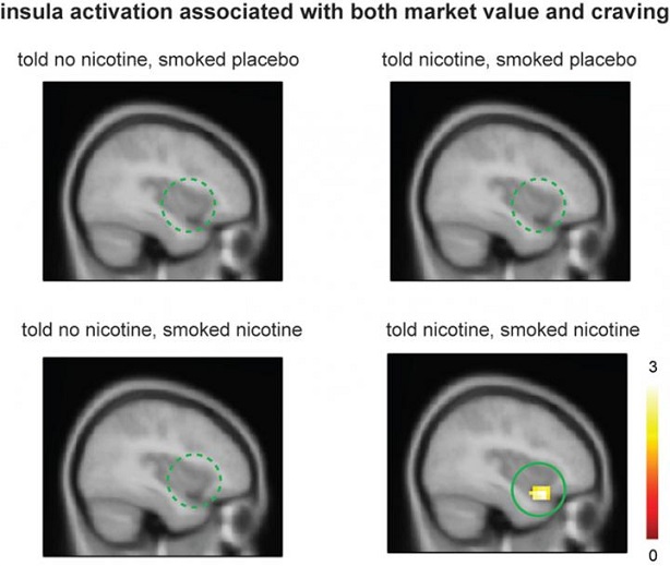 Las creencias sobre el contenido de nicotina en un cigarro modifican la ...