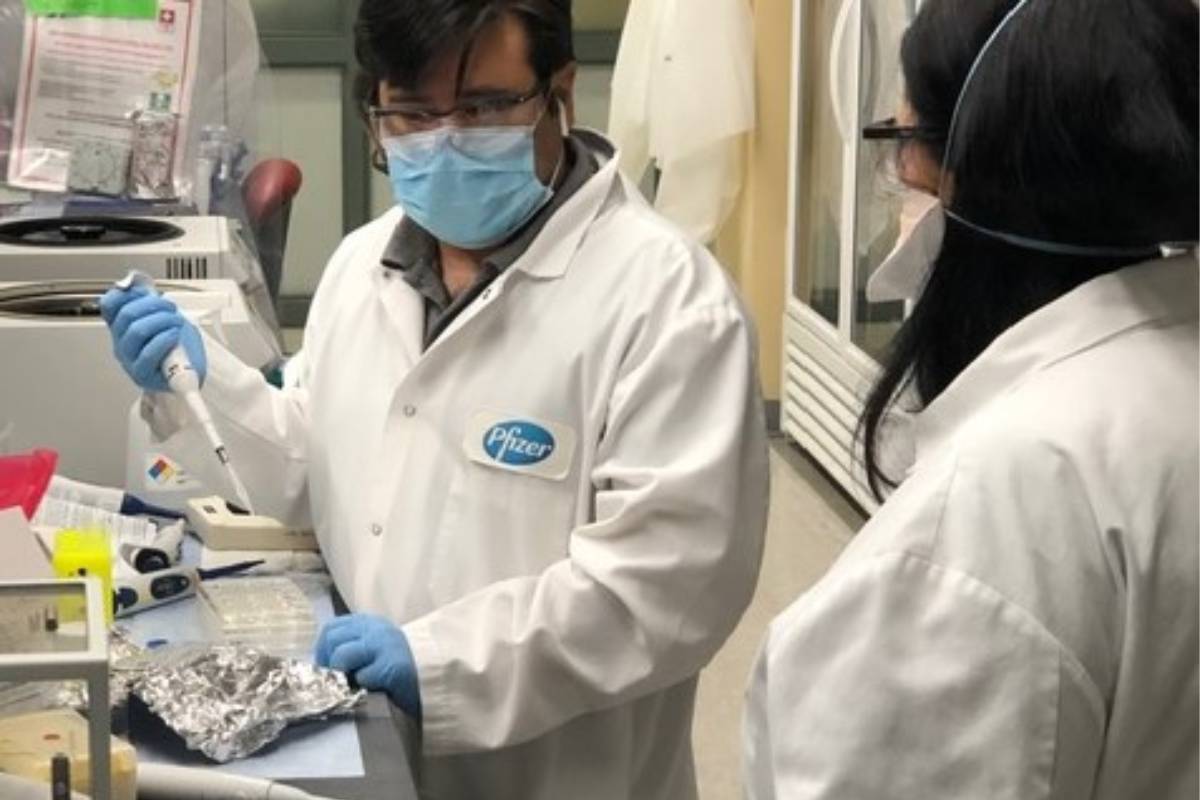 Pfizer completa los ensayos de su vacuna con un 95% de eficacia y ...