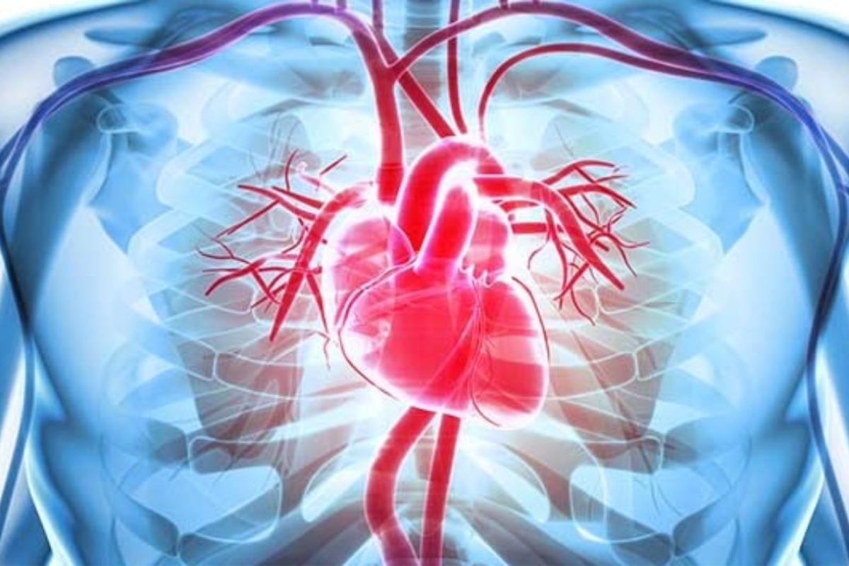 Identifican un nuevo autoantígeno diagnóstico y terapéutico para ...