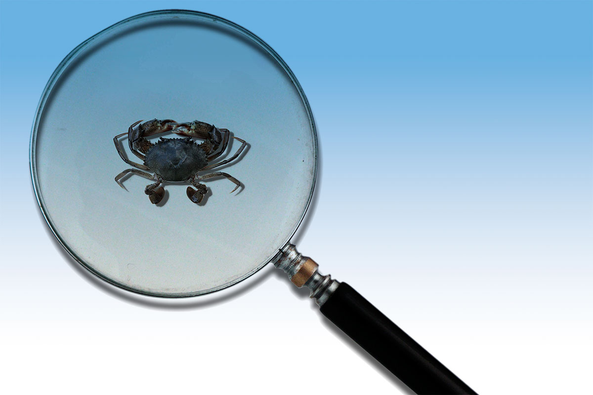 Cribados y hábitos saludables, aliados de la detección precoz