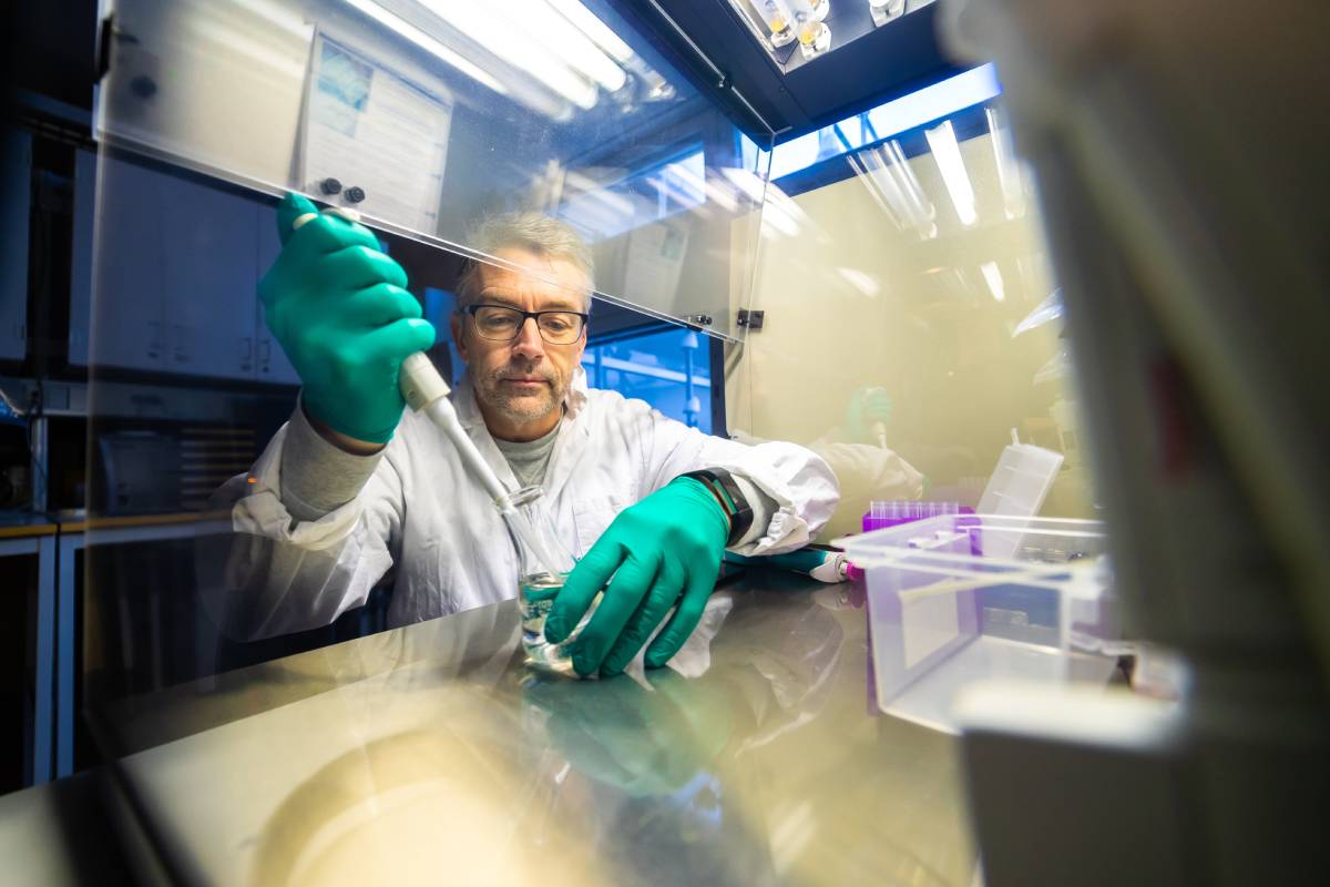 EL BLOG DE CEESS: Hacia una prescripción de medicamentos con menor ...