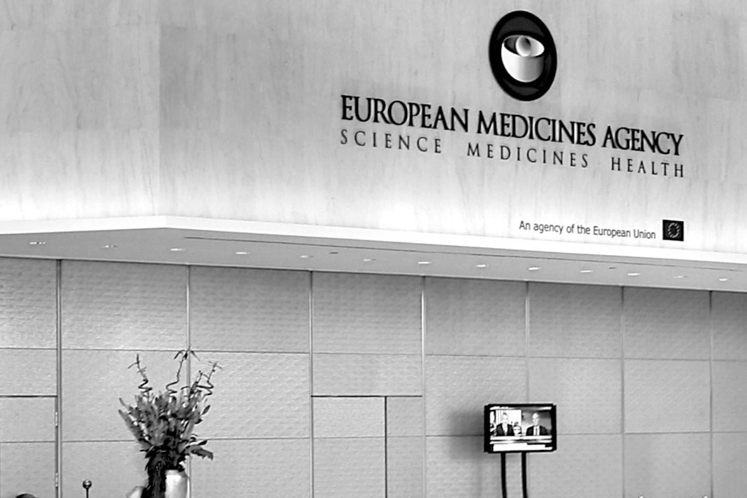 La EMA busca a cuatro representantes de la sociedad civil