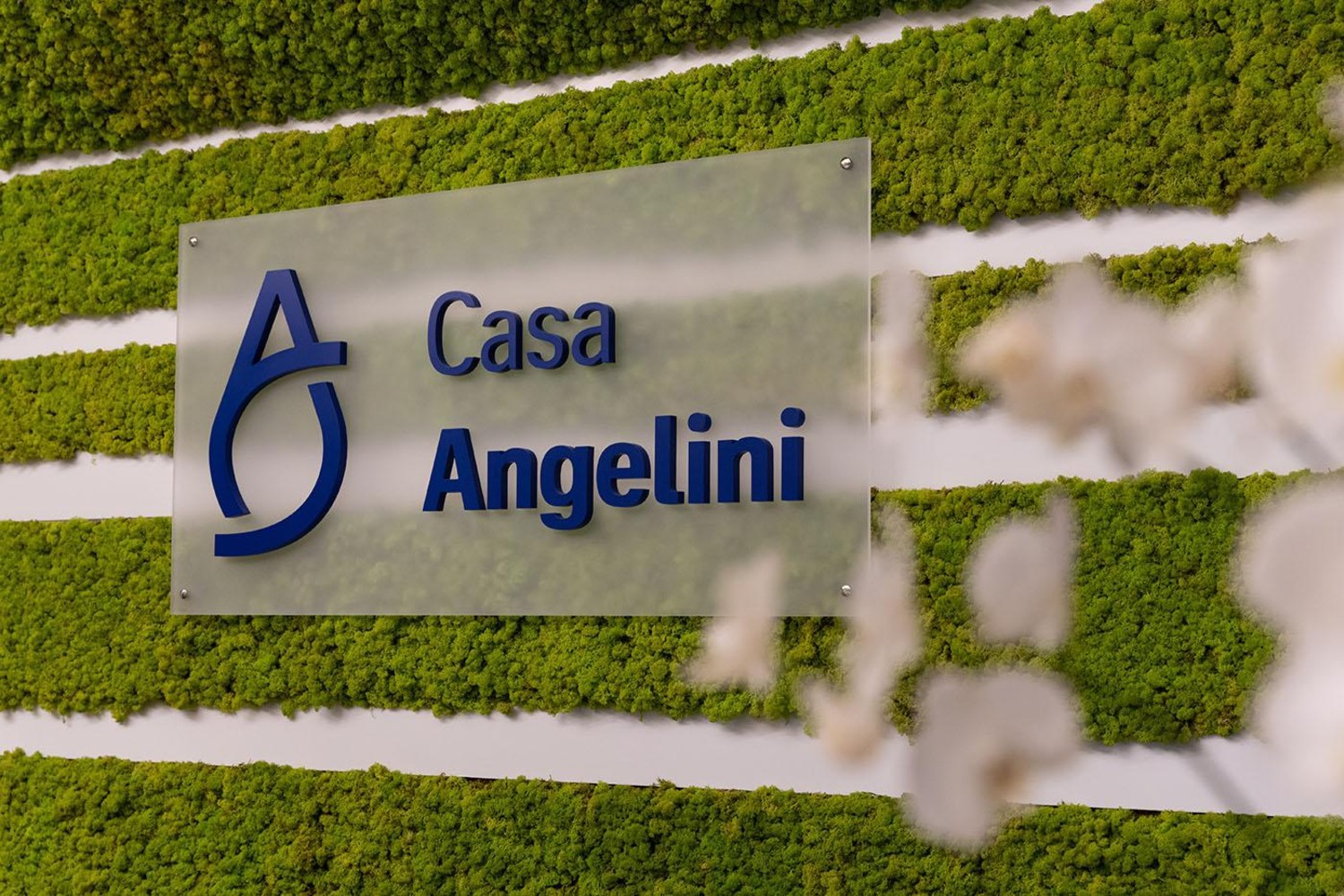 Acuerdo de 150 millones entre el BEI y Angelini Ventures para financiar ...