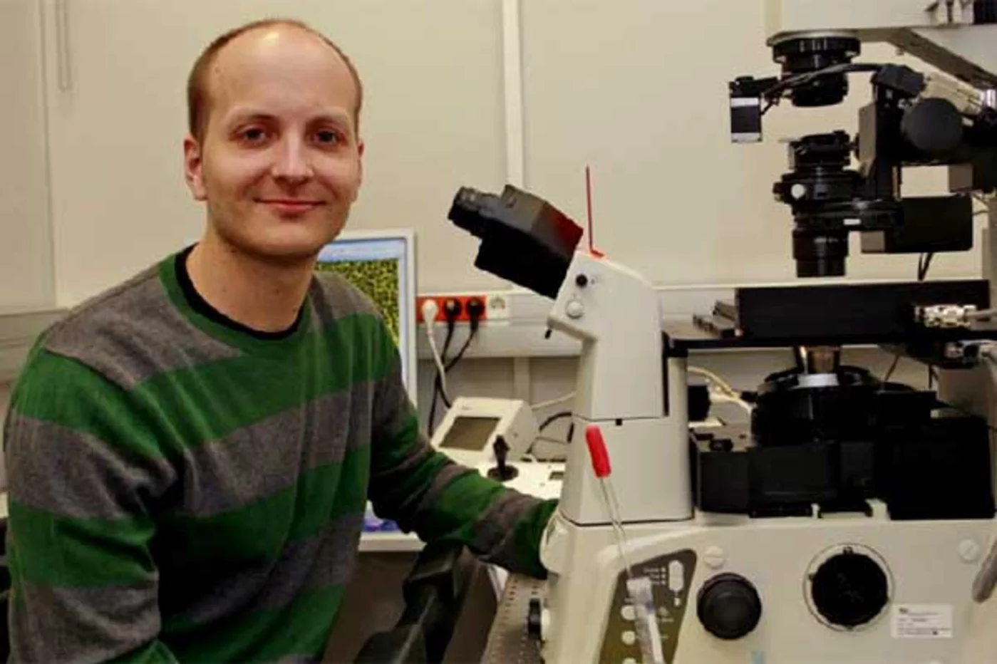 La célula puede regular sus propiedades biomecánicas | DiarioMedico