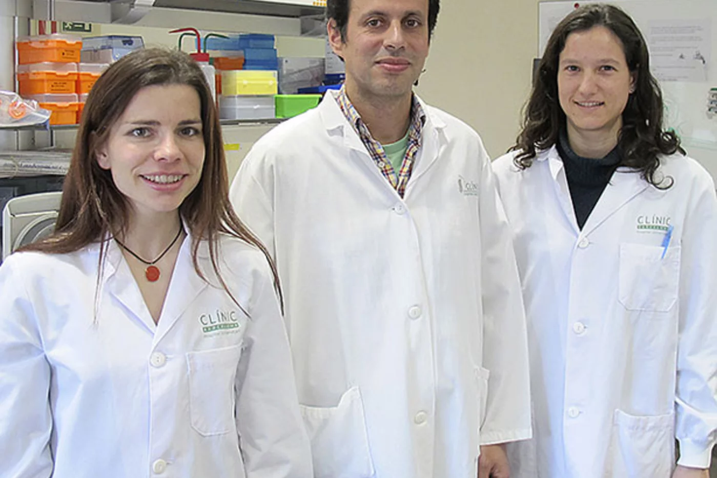 Identifican una proteína clave para la transmisión de la malaria ...