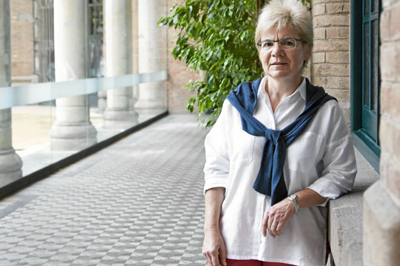 El compuesto CoPP potencia los efectos analgésicos | DiarioMedico