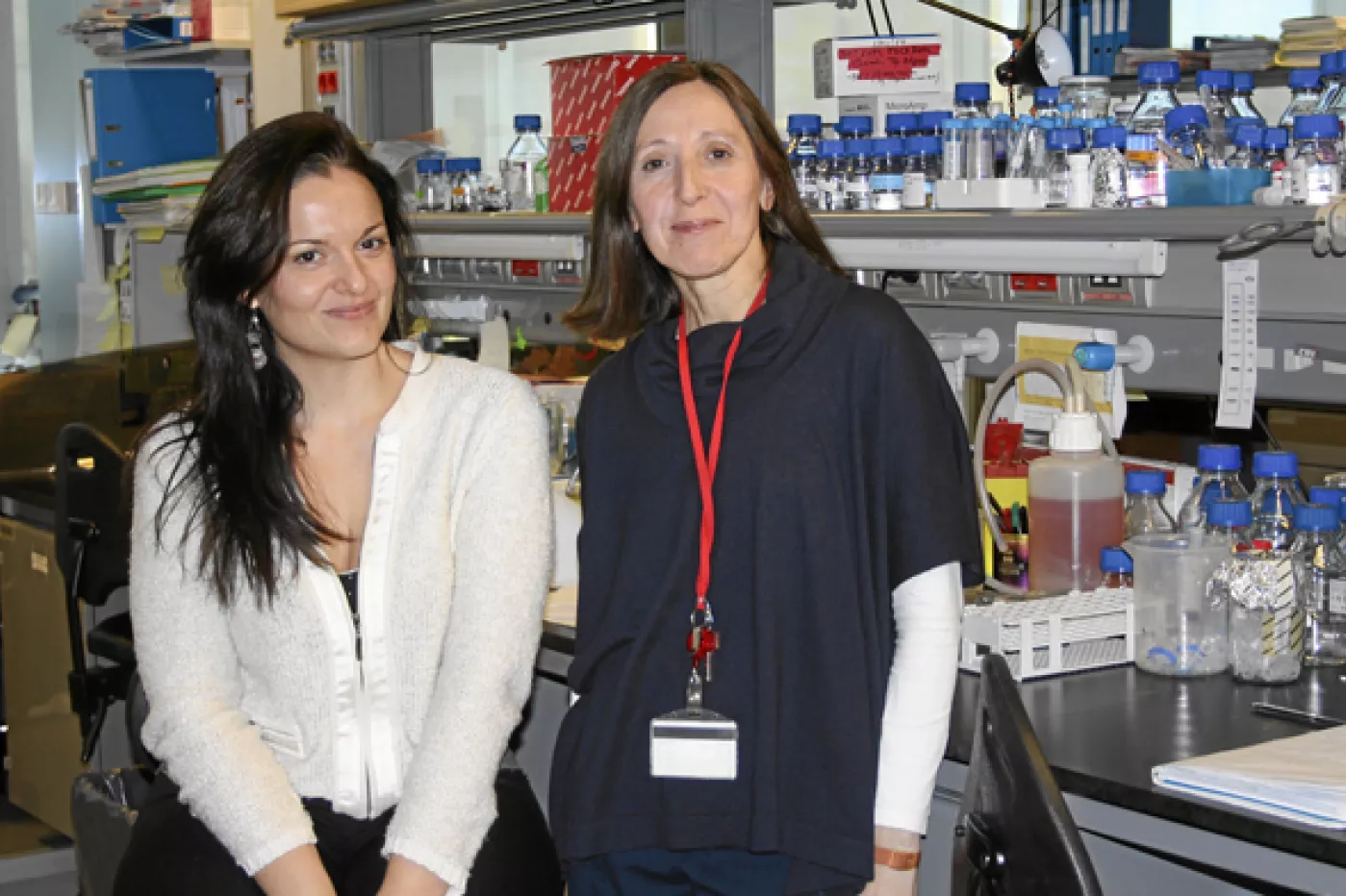 El receptor RXR controla el inicio de osteoporosis | DiarioMedico