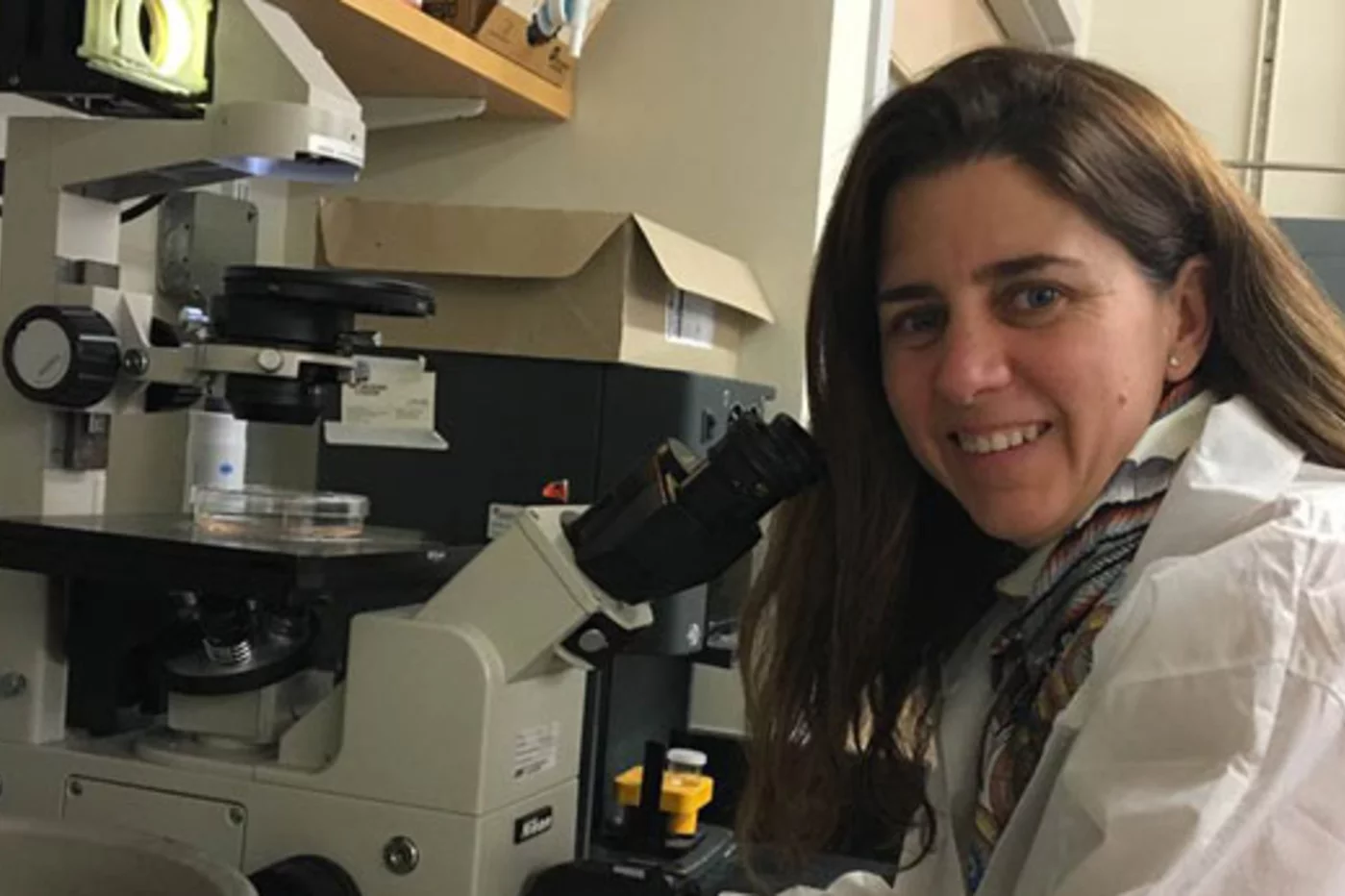 ‘Tejiendo’ alianzas internacionales para lograr terapias regenerativas ...