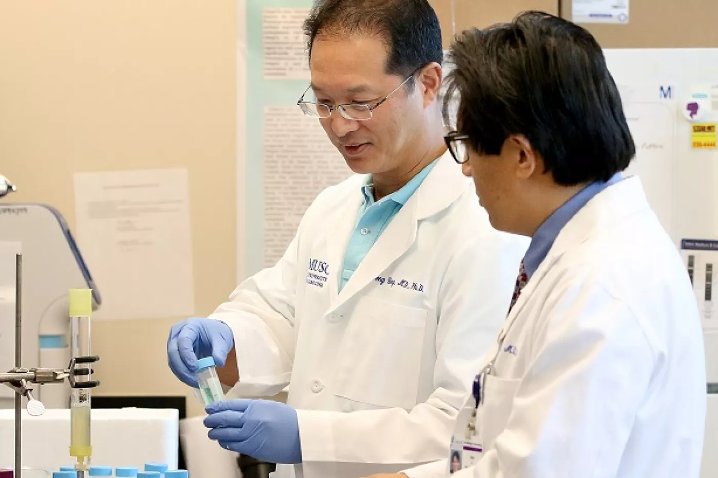 El mal plegamiento de la proteína puede ser la causa de enfermedades ...