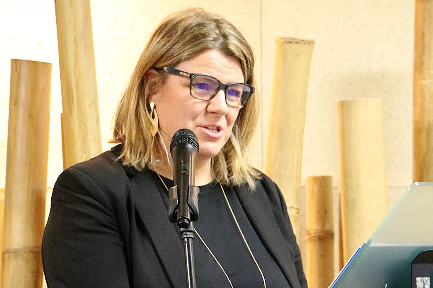 Asho mira a Latinoamérica para crecer en codificación de centros ...