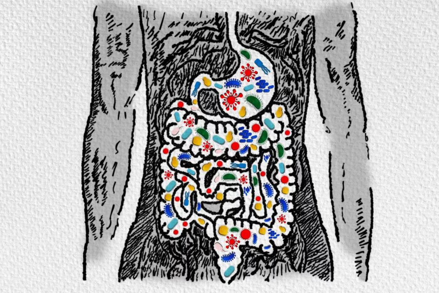 ¿Por qué es importante el microbioma en la salud humana? | DiarioMedico